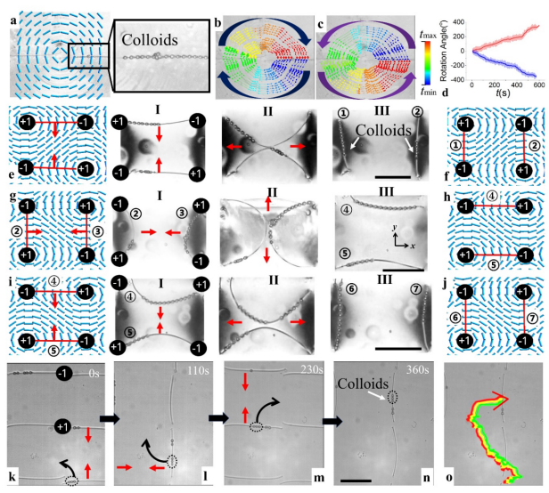 USTC Realizes Light-Driven Programmable Colloidal Self-Assembly ... USTC Realizes Light-Driven Programmable Colloidal Self-Assembly ...