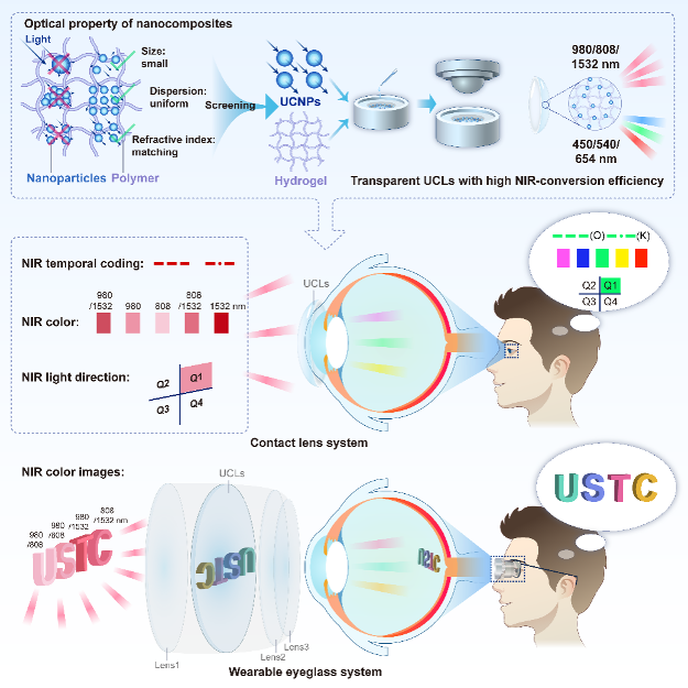 USTC Realizes Human Near-Infrared Color Vision via Contact Lens Technology-University of Science ...