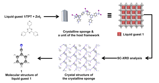 USTC Proposes Crystalline Sponge Method for Undergraduate Course ...