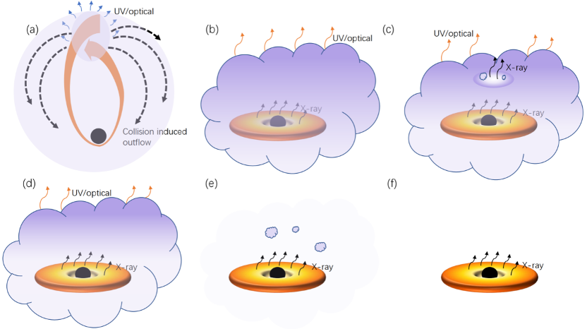 USTC Researchers Unveil Unique Tidal Disruption Event with ...