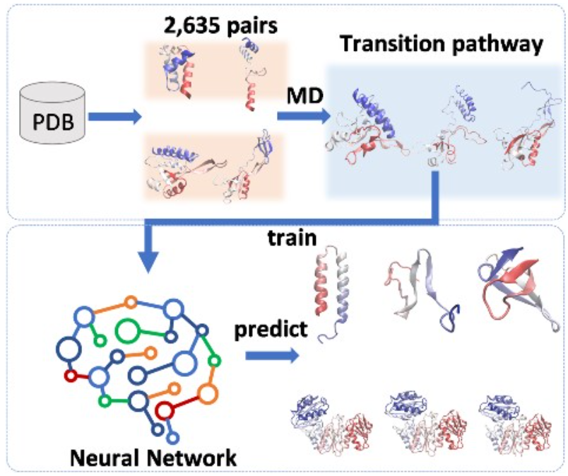 USTC Develops Deep Learning Model to Predict Protein Conformational Changes-University of ...