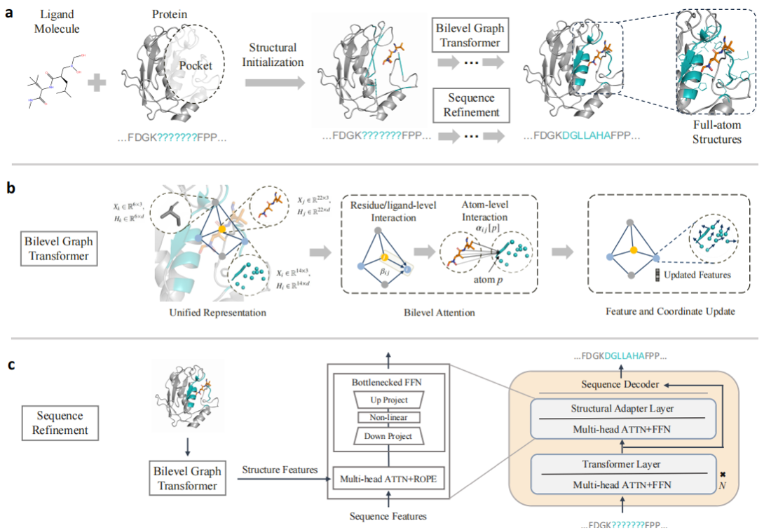 USTC Achieves Breakthrough in Functional Protein Design with Deep ...
