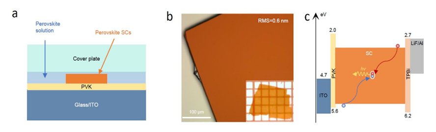 USTC Realizes Highly Bright and Stable Single-crystal Perovskite LEDs ...