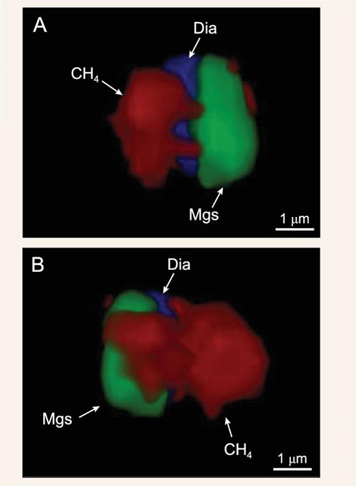 Coexisting Carbon-bearing Inclusions Found in Deep Mantle Wedge ...