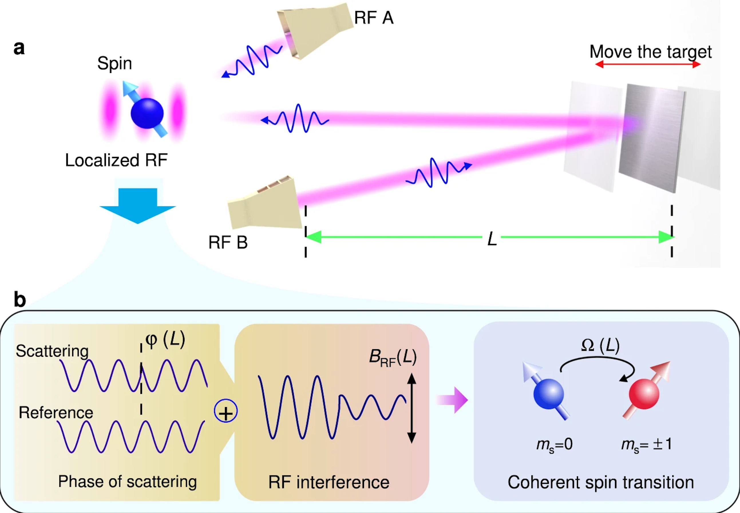 USTC Realizes Quantum-Enhanced Microwave Ranging-University of Science ...